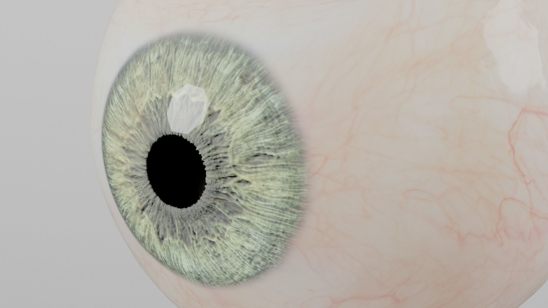 3D model Production-Ready Photorealistic Human Eye - Multicolor VR / AR ...