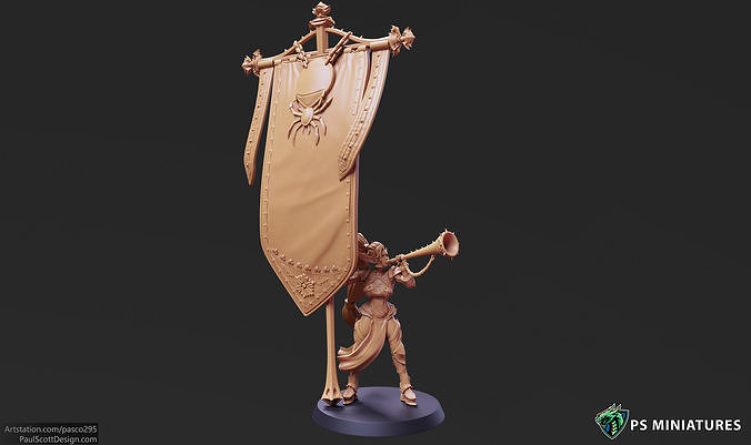Drow Standard Bearer - 2 Variants and Pinup 3D model 3D printable ...