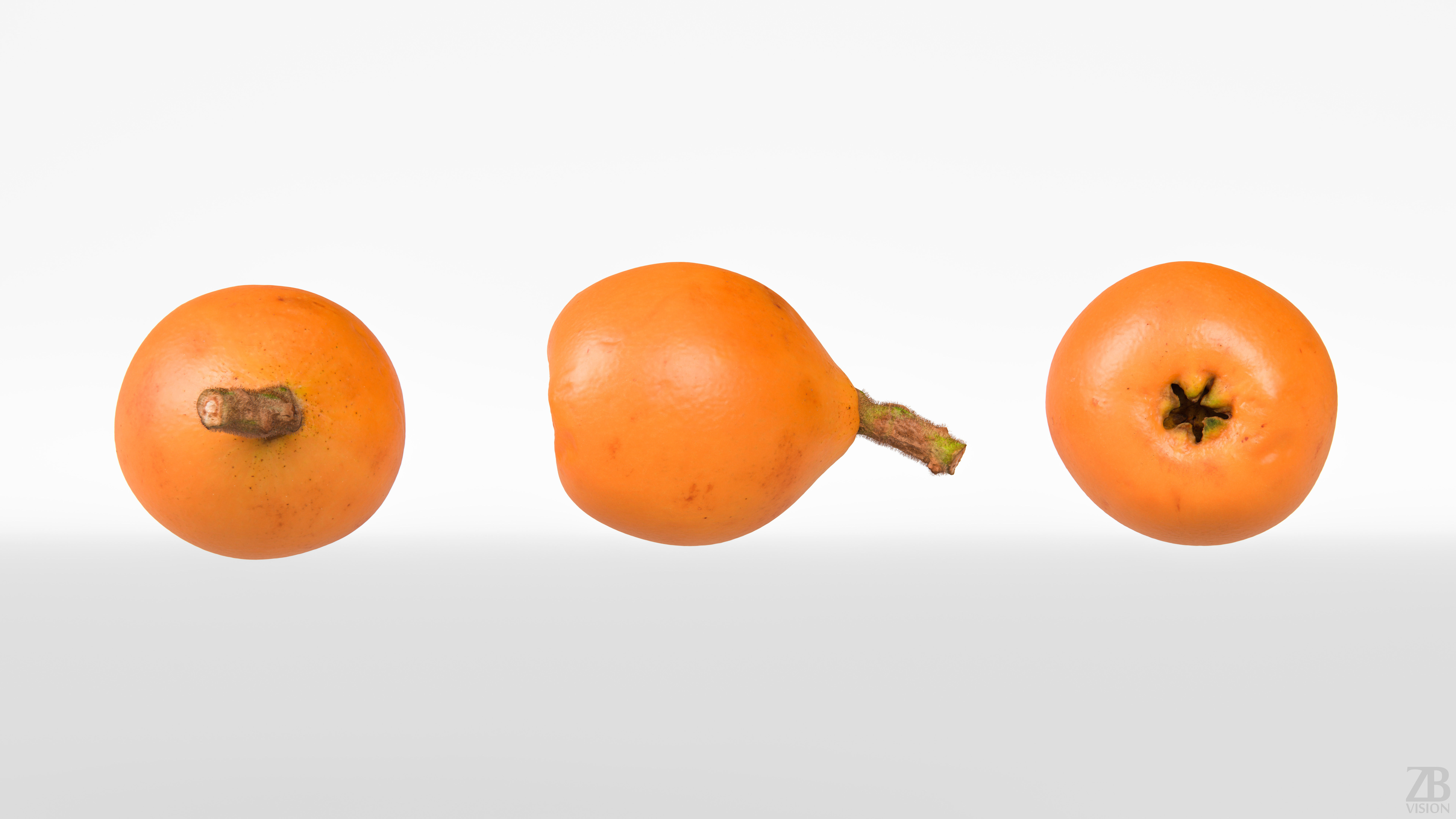 Loquat 001 3D model | CGTrader