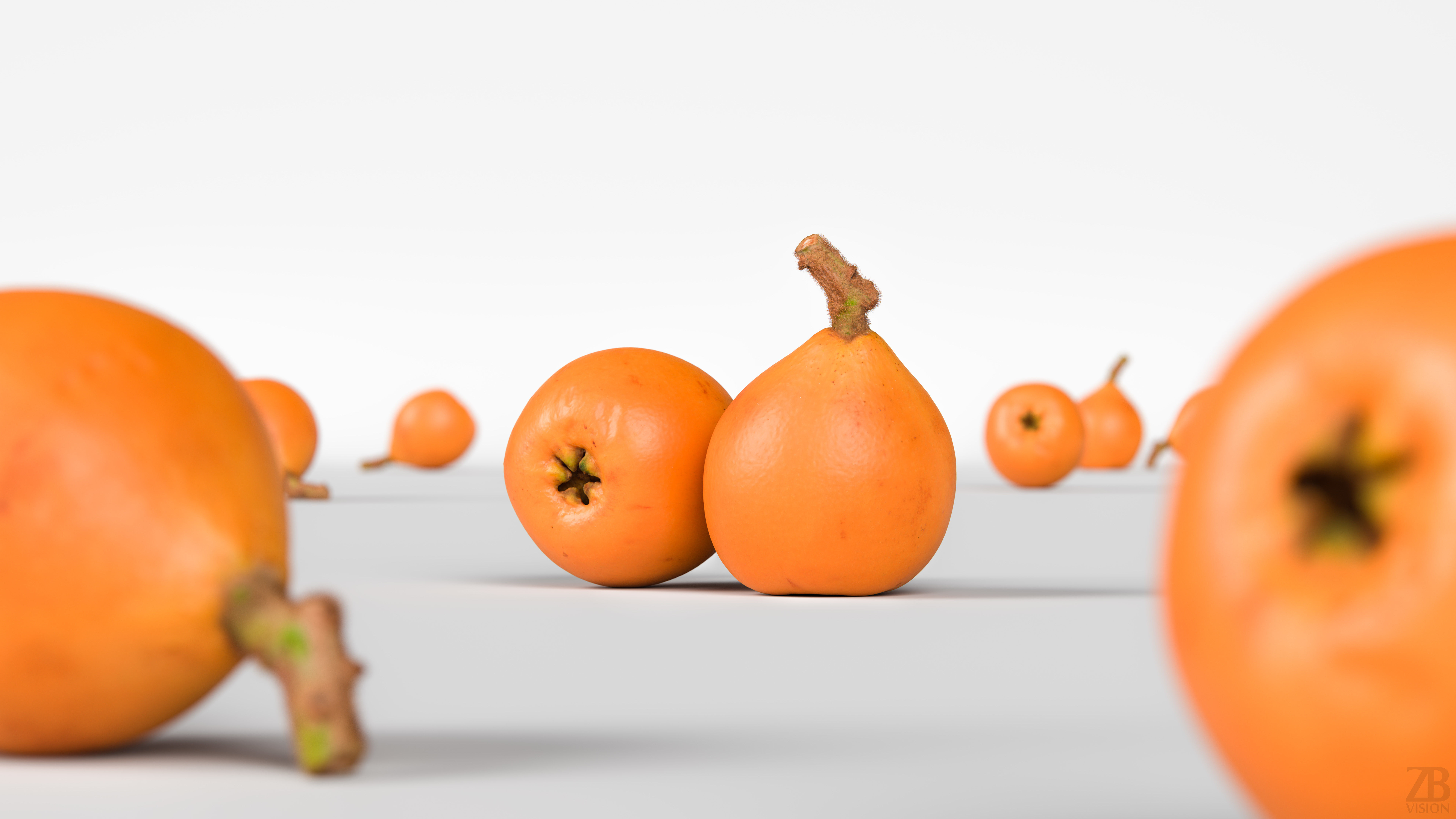 Loquat 001 3D model | CGTrader
