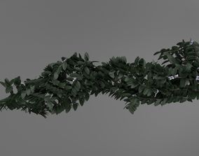 Free Vine 3D Models | CGTrader