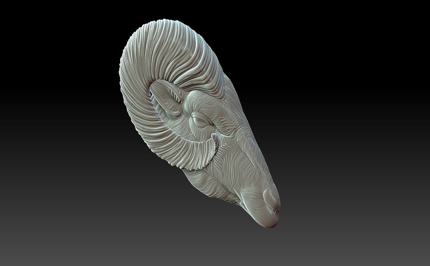 Mountain sheep head 3D model 3D printable | CGTrader