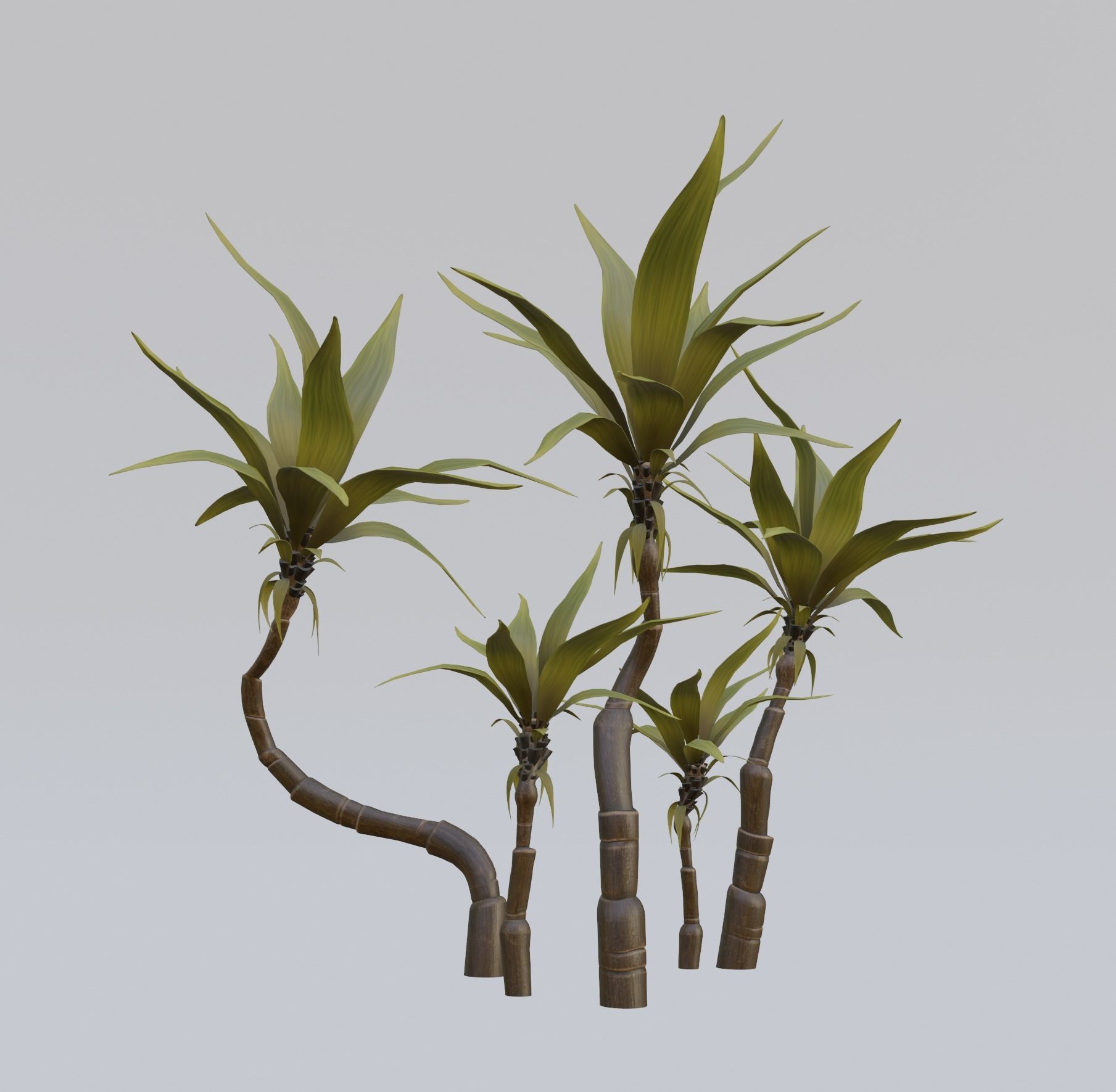 3D model Palm tree set Cartoon Stylized Hand painted vol2 VR / AR / low ...