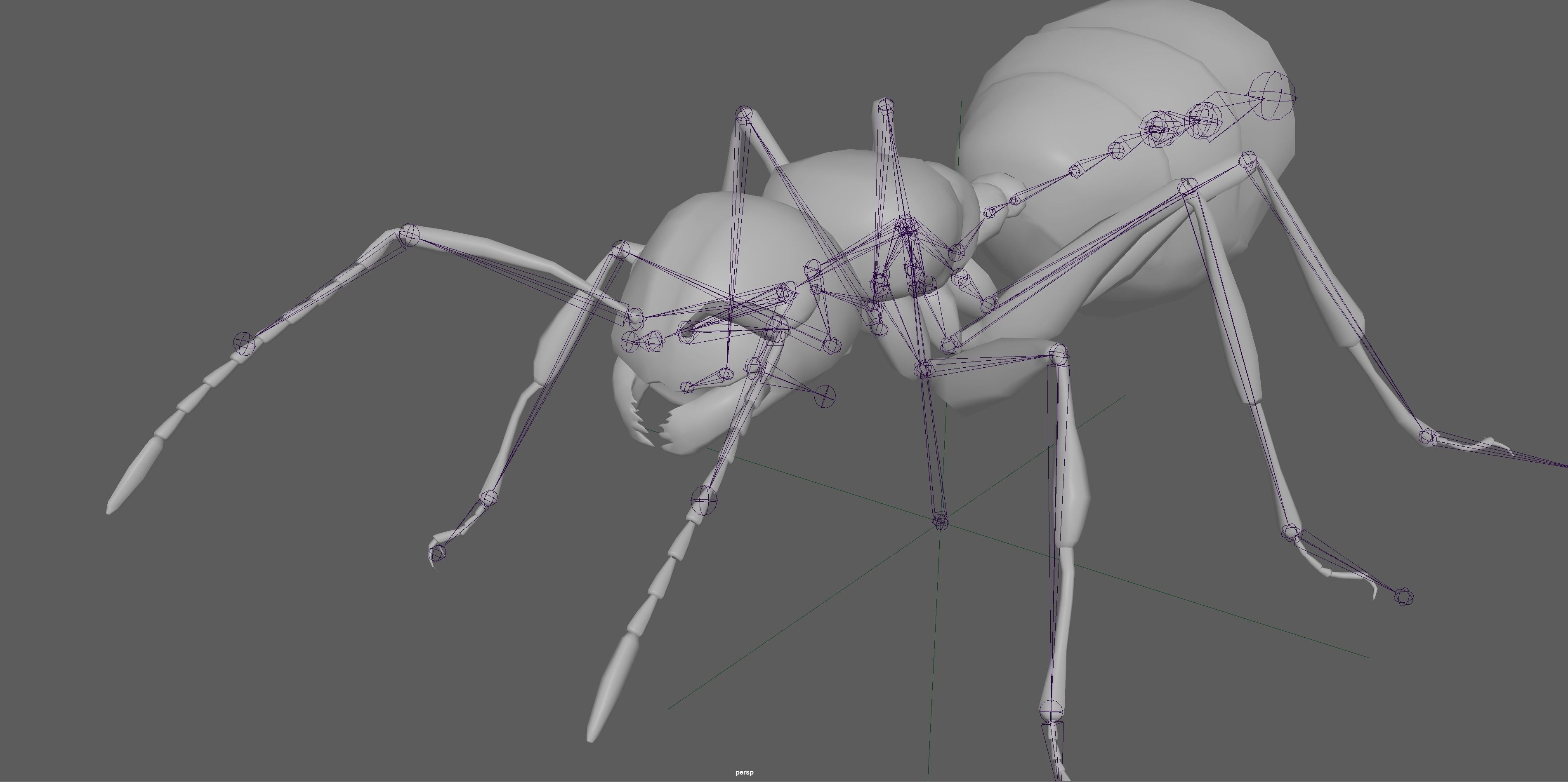 3D model Black Ant VR / AR / low-poly | CGTrader