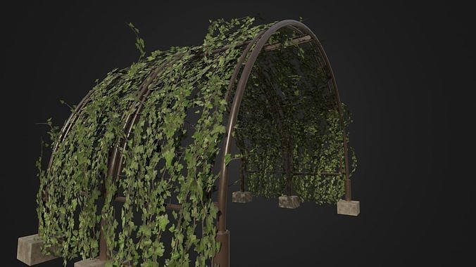 3D model Trellis with ivy VR / AR / low-poly | CGTrader