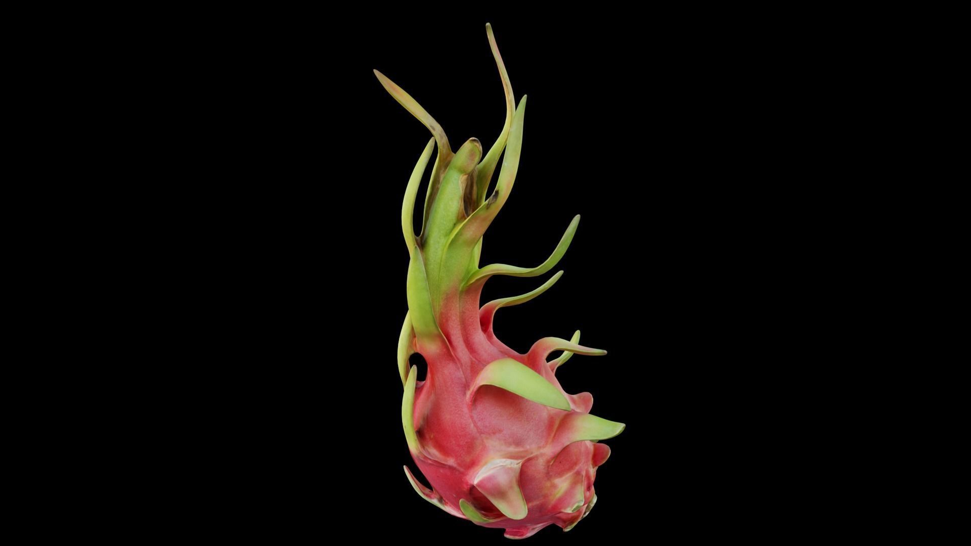 Dragon fruit 12 3D model | CGTrader