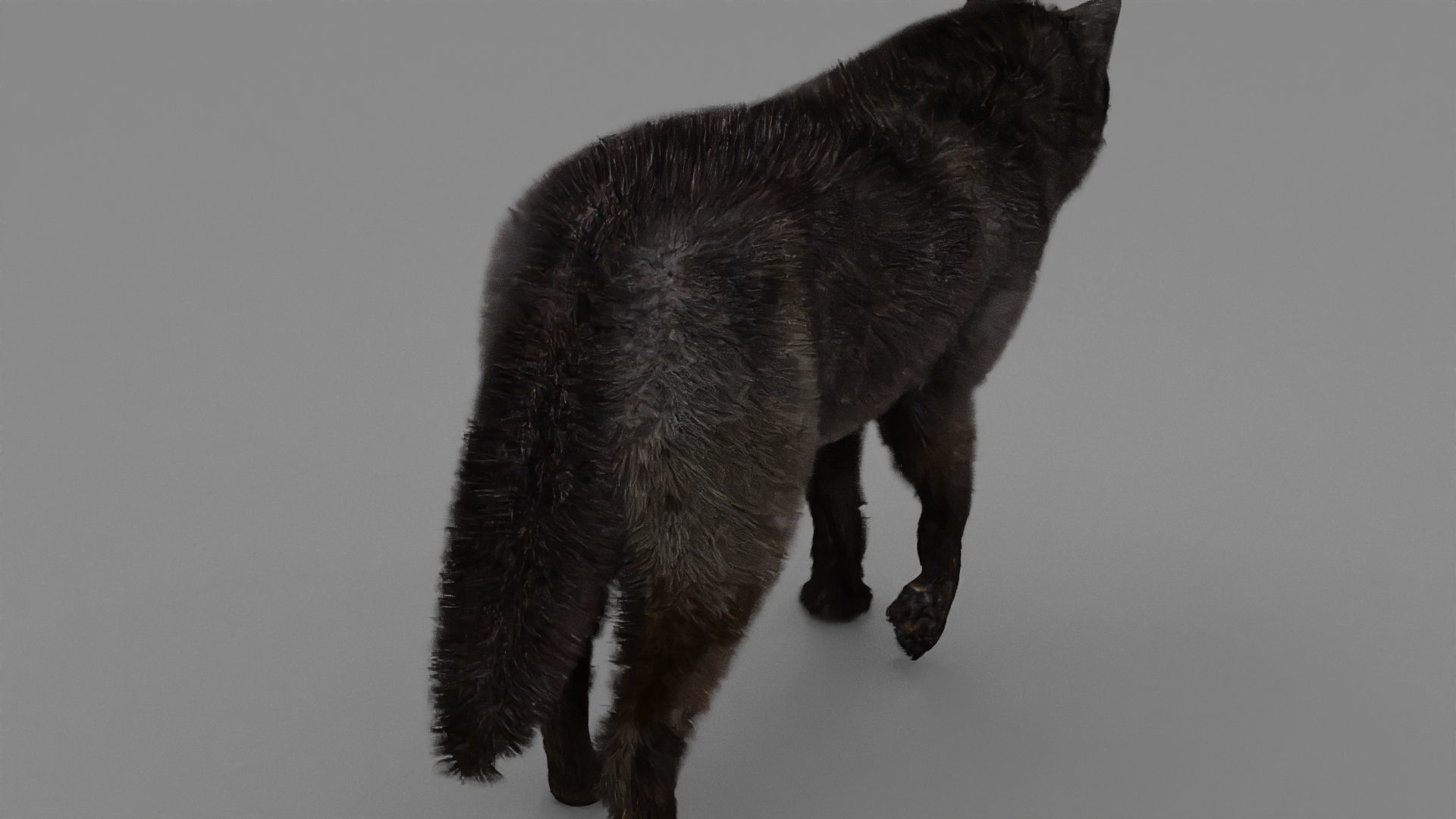 WOLF rigged character 3D model rigged | CGTrader