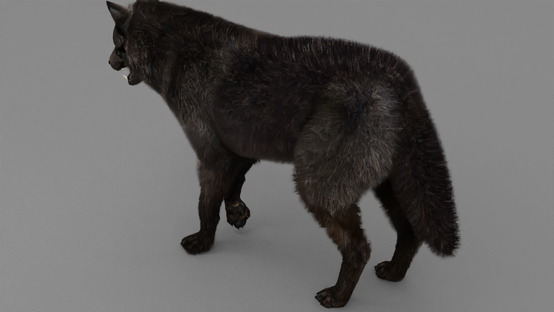 WOLF rigged character 3D model rigged | CGTrader