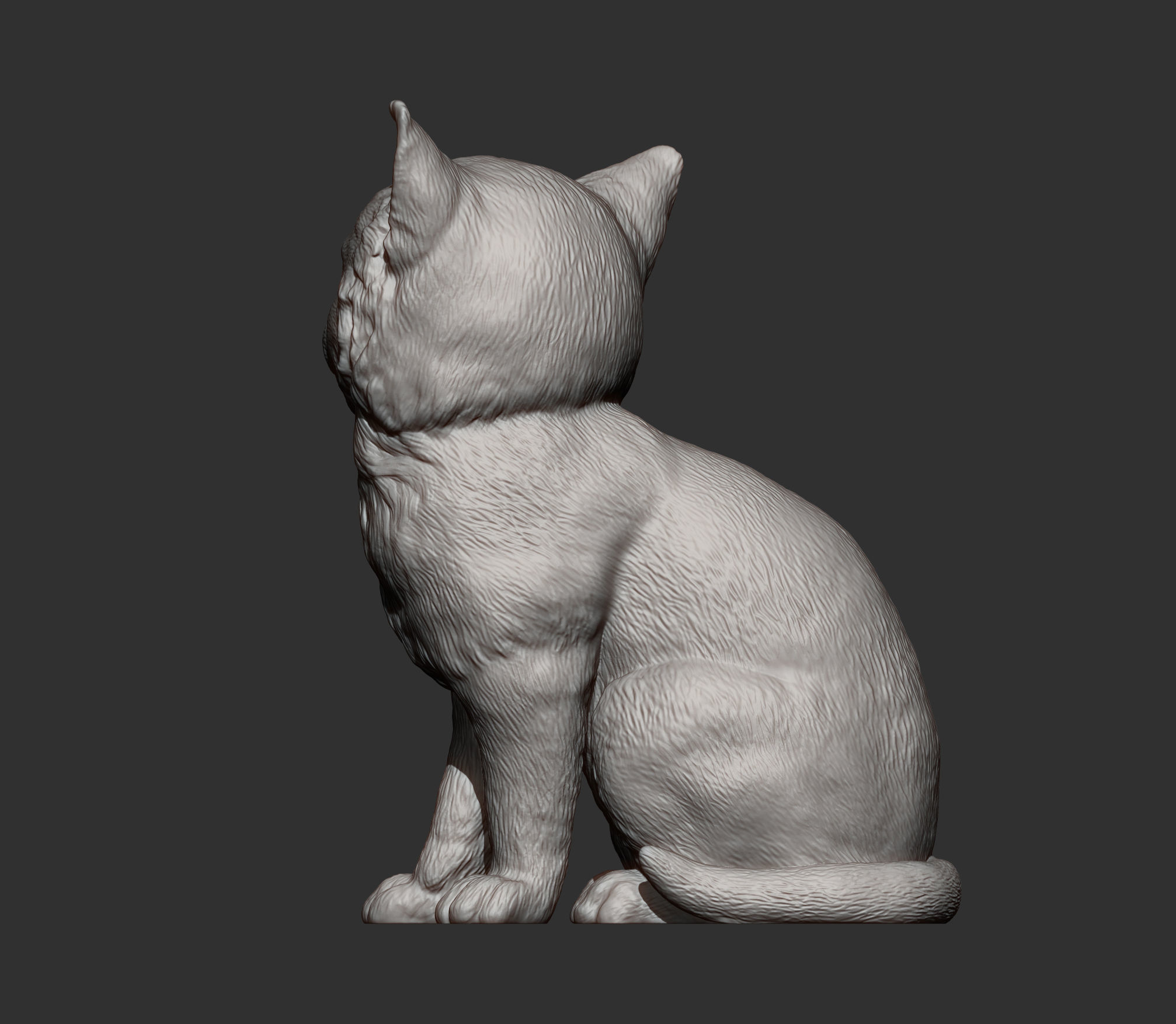 kitten sitting 3D model 3D printable | CGTrader