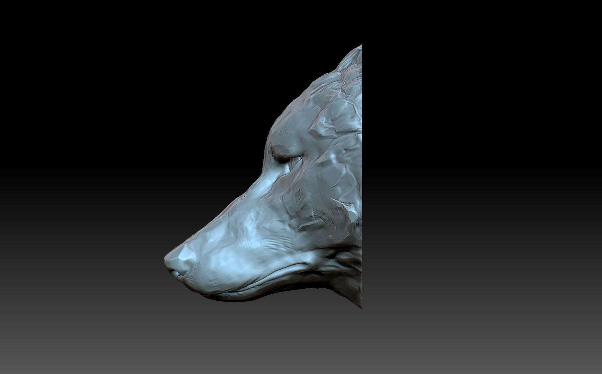 The wolf muzzle 3D model 3D printable | CGTrader