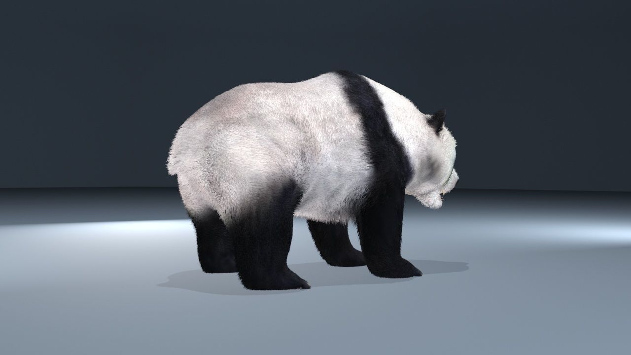 3D model This is a low -polygonal panda VR / AR / low-poly | CGTrader