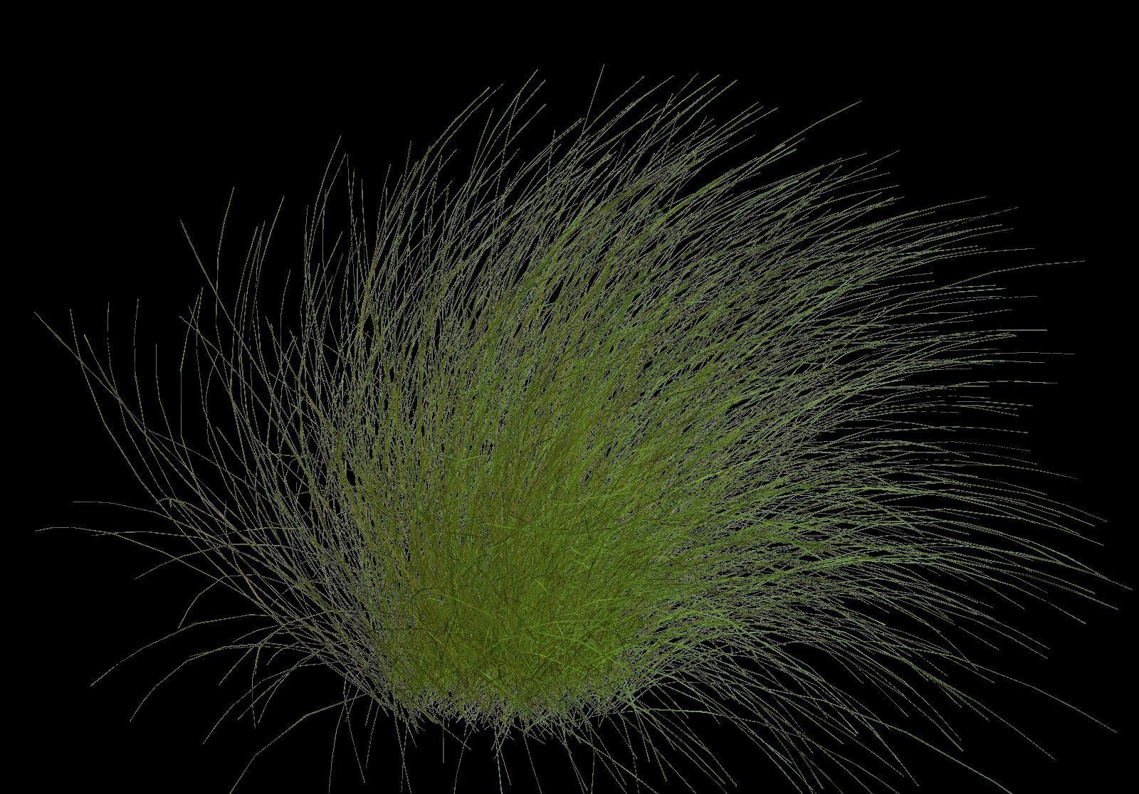 some grass for game free 3D model | CGTrader