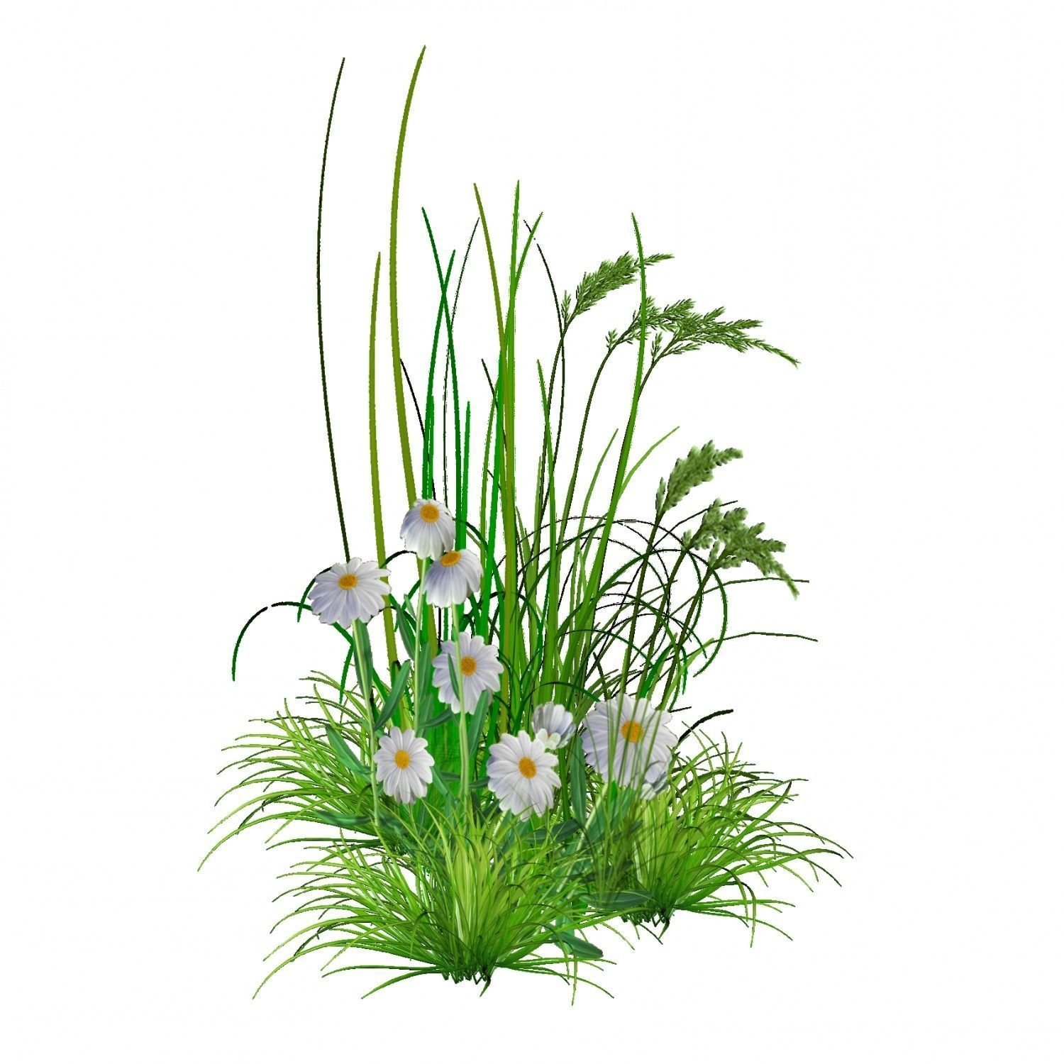 some grass for game free 3D model | CGTrader