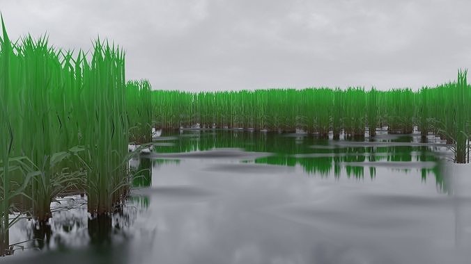 Lopoly Swamp free 3D model | CGTrader