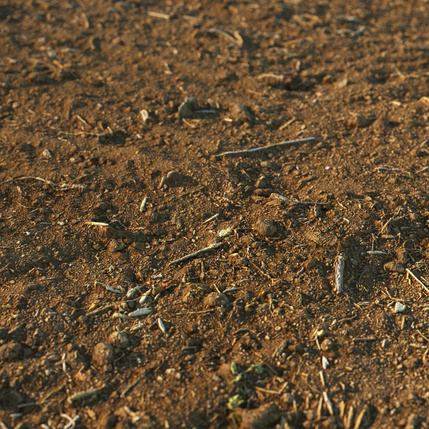 Loose soil material 03 3D model | CGTrader