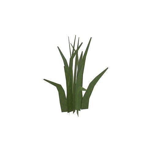 3D model Grass 008 v3 VR / AR / low-poly | CGTrader