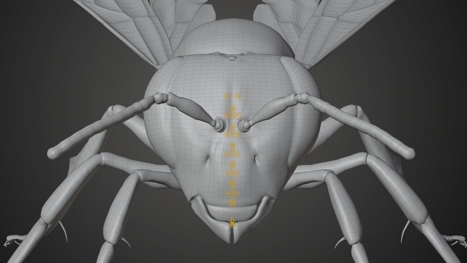 Honey bee Animated VFX Grace 3D model animated rigged | CGTrader