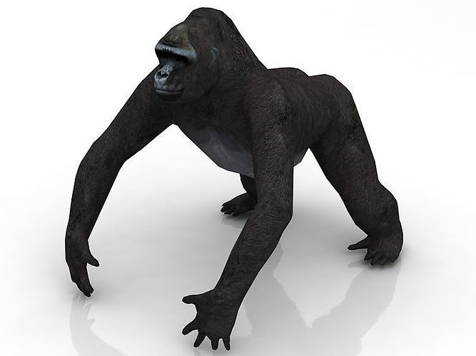 3d Gorilla 3d Model Cgtrader