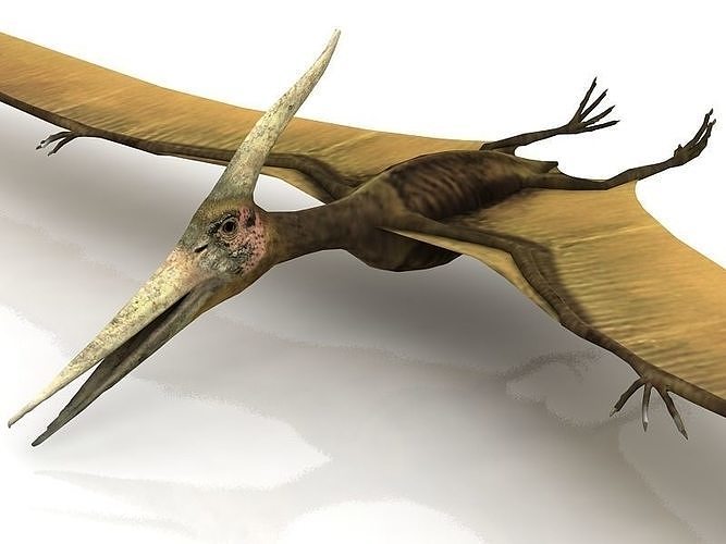 Jurassic Park Pteranodon Flying