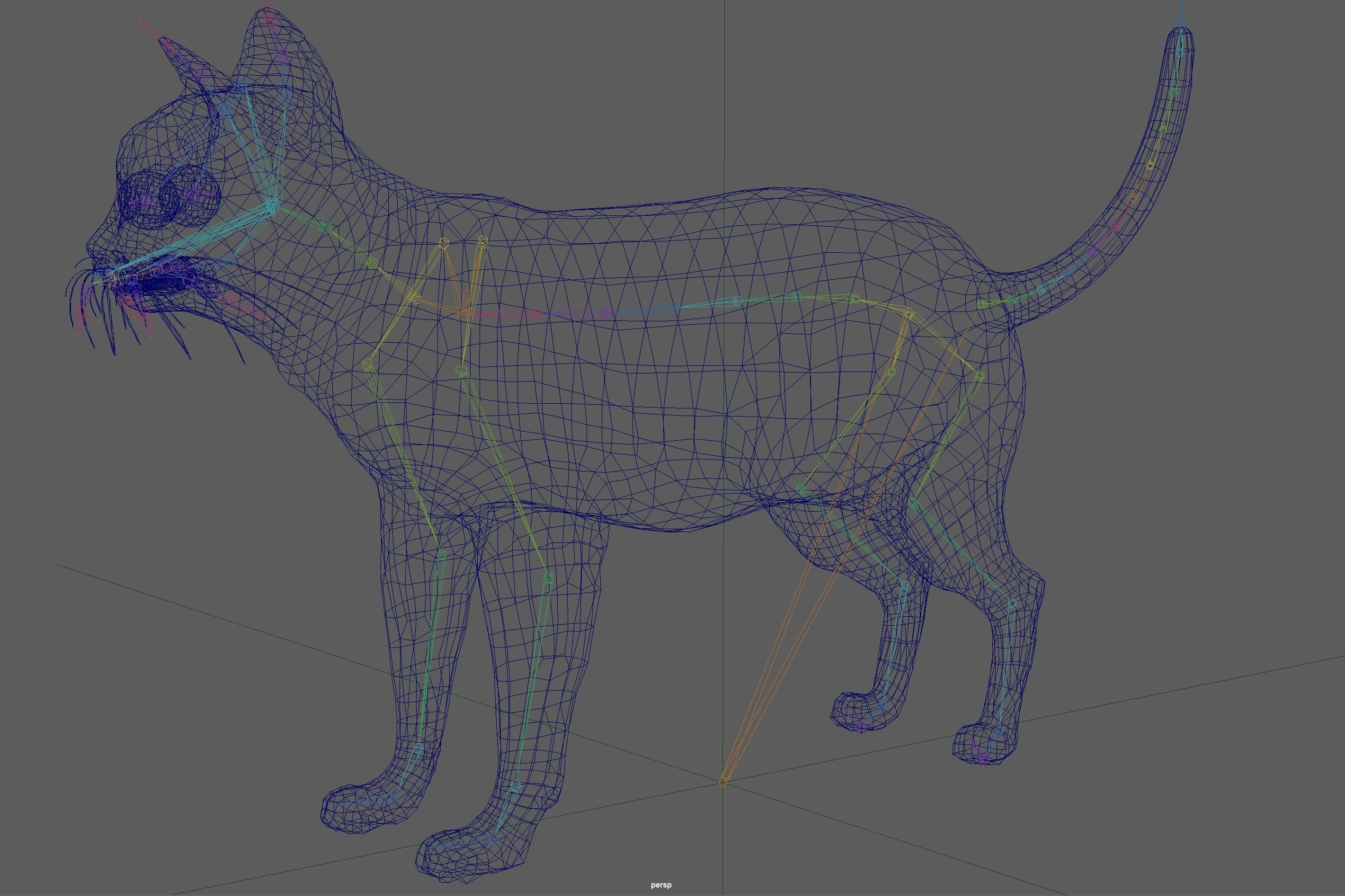 3D model Cat Rig VR / AR / low-poly | CGTrader