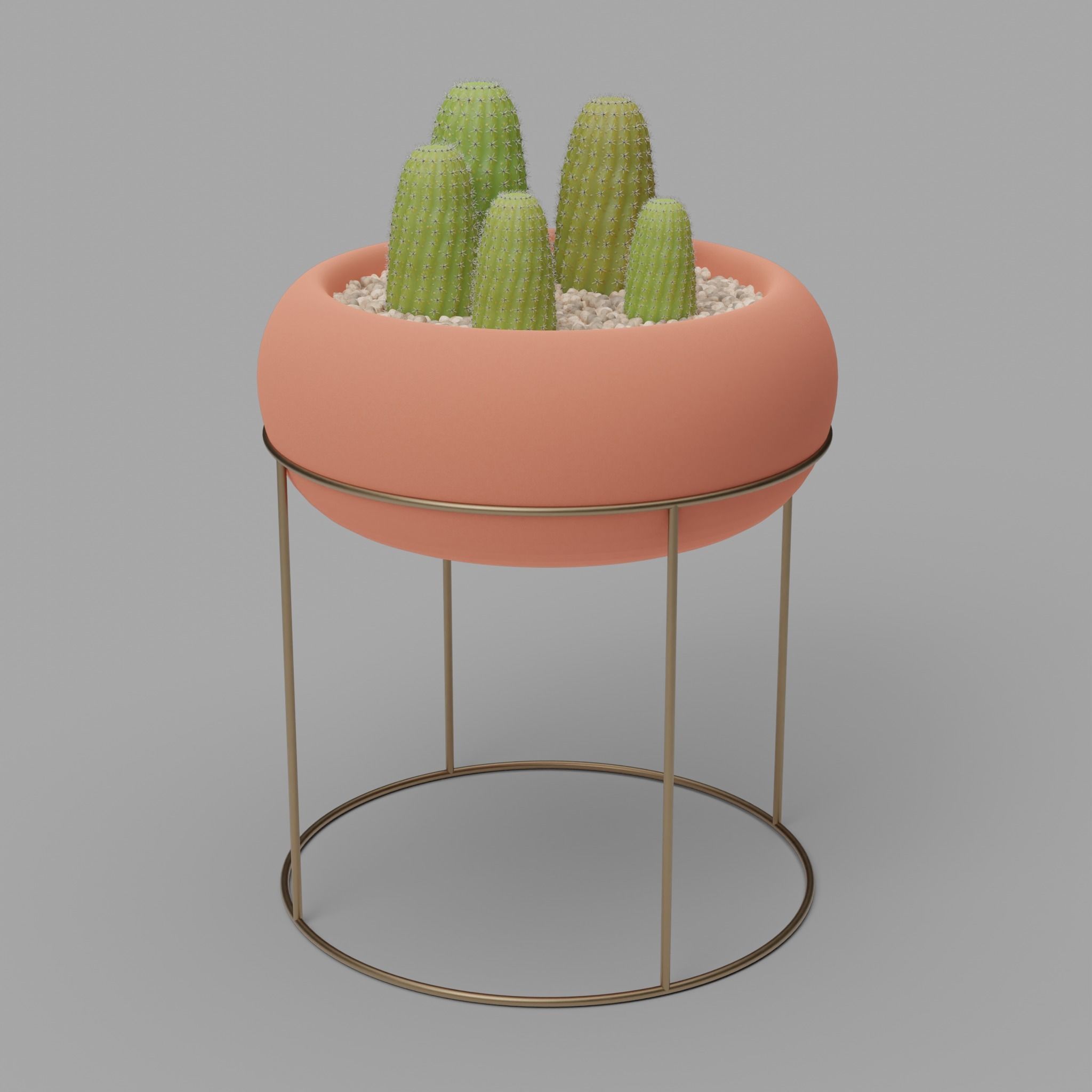 Procedural cactus free 3D model | CGTrader