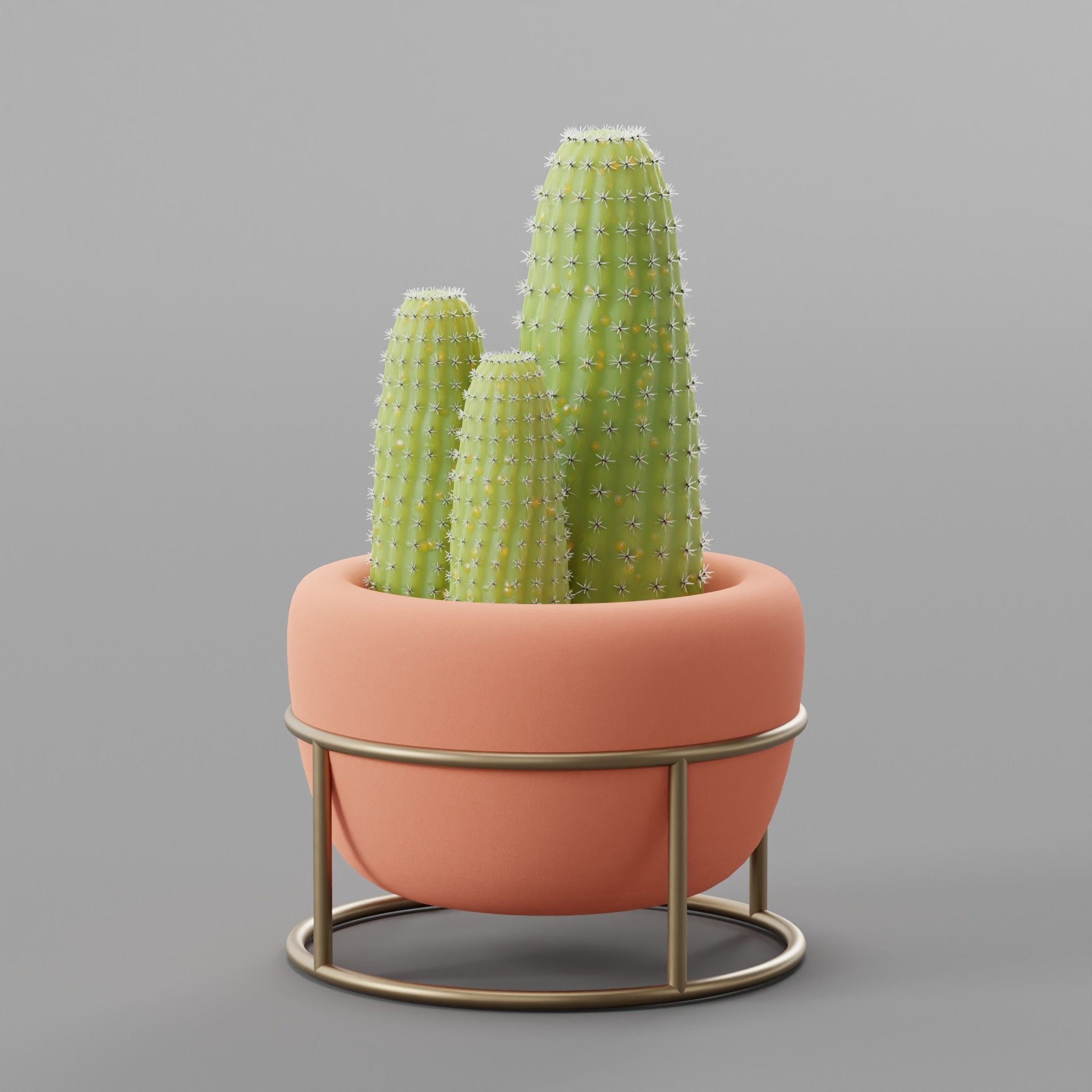 Procedural cactus free 3D model | CGTrader