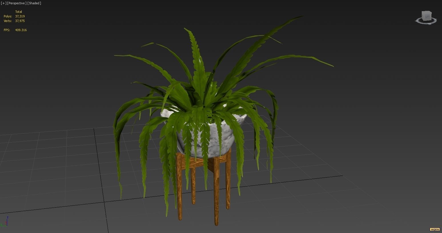 fern plan 3D model | CGTrader