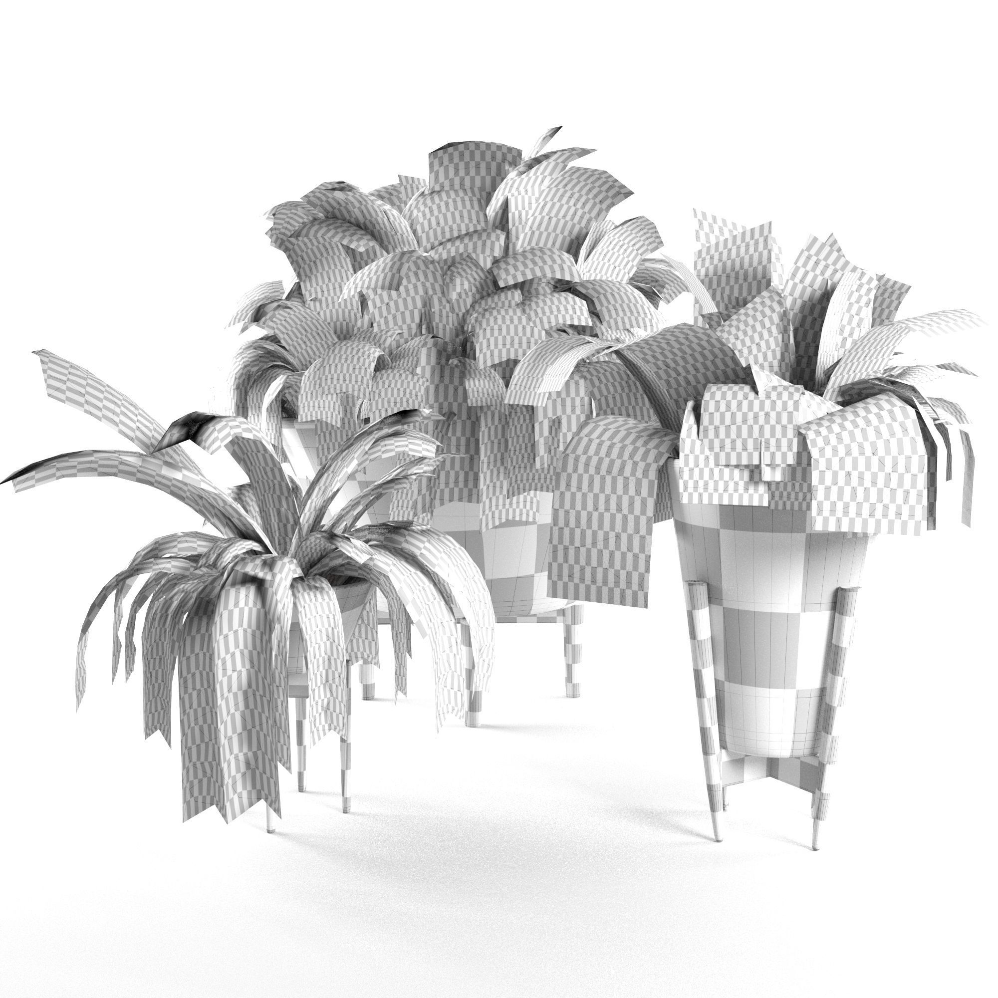fern plan 3D model | CGTrader