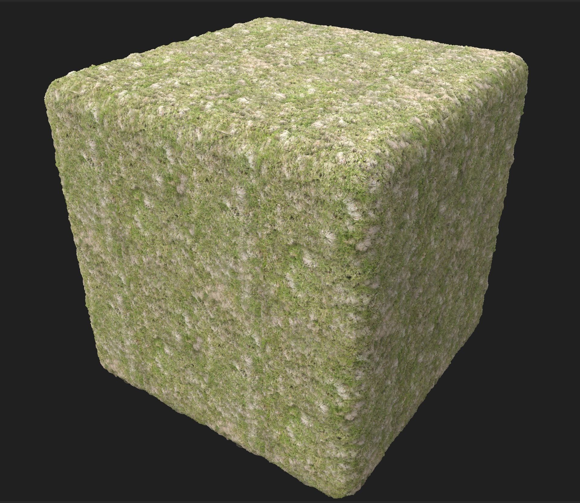 4K Grass with ground Texture | CGTrader