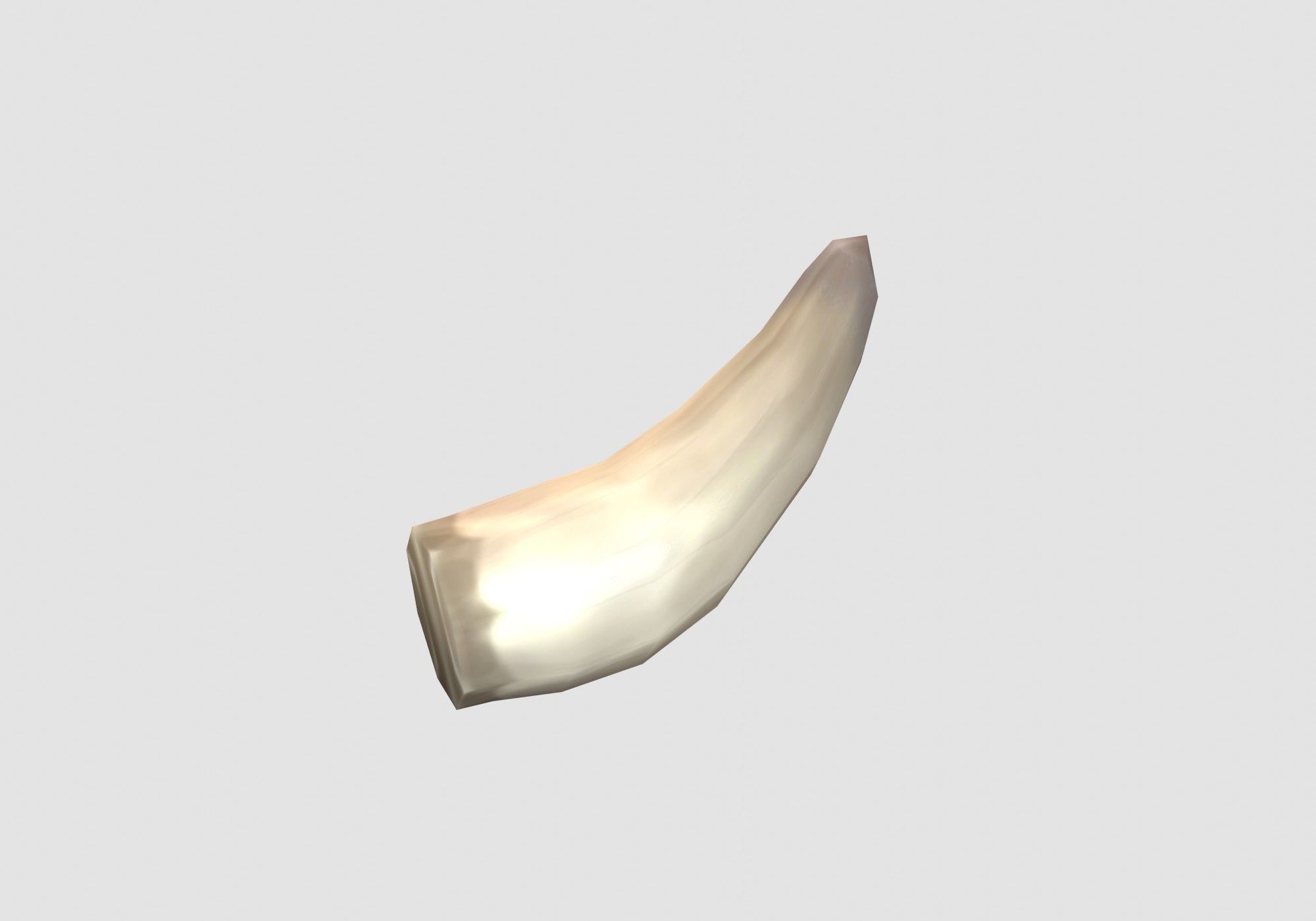 sharp bone horn 3D model | CGTrader