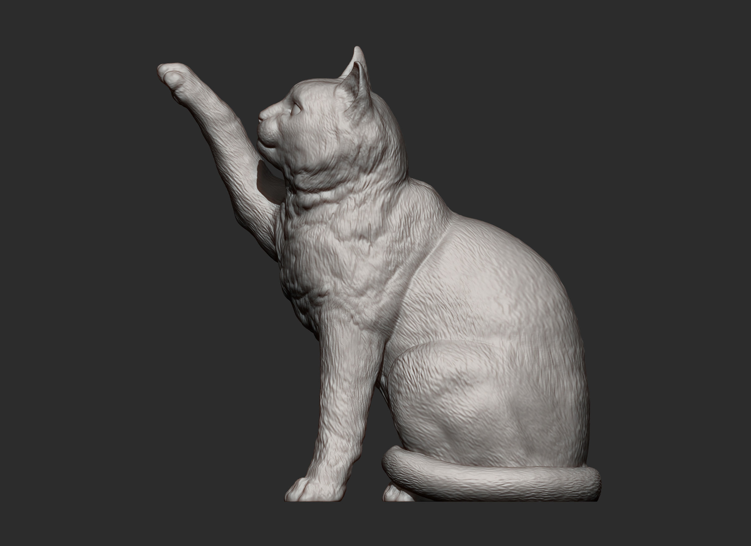 Cat for 3d printing 3D model 3D printable | CGTrader