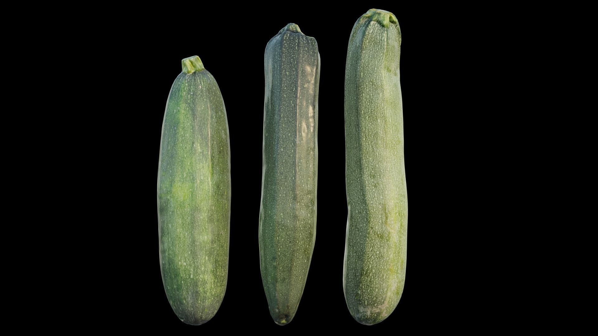 Large Courgette 3D model | CGTrader