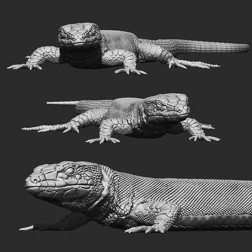 Wall lizard realistic model 3D model 3D printable | CGTrader