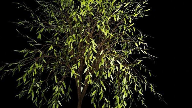 3D model Spring or Summer Tree PBR low-poly game ready VR / AR / low ...