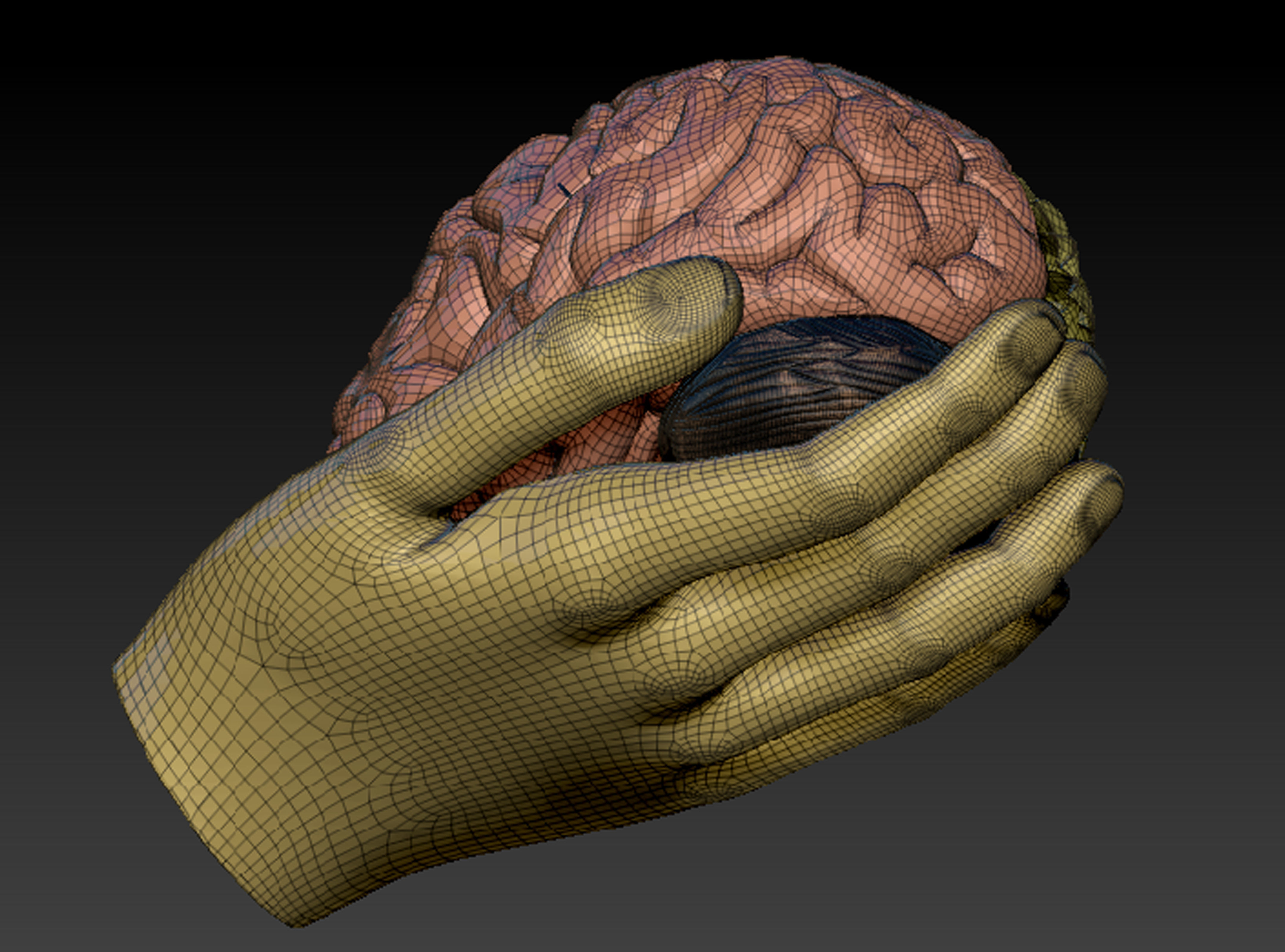 Brain 3D hand holding human 3D model 3D printable | CGTrader
