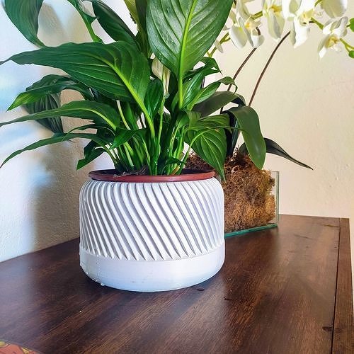 Plant pot with different design 3d 3D model 3D printable | CGTrader
