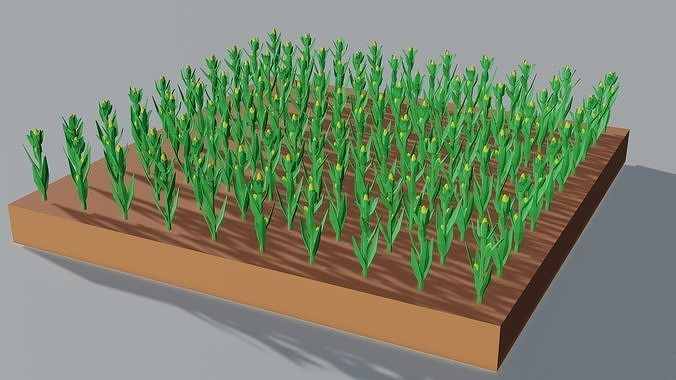 3D model Corn field isometric VR / AR / low-poly | CGTrader