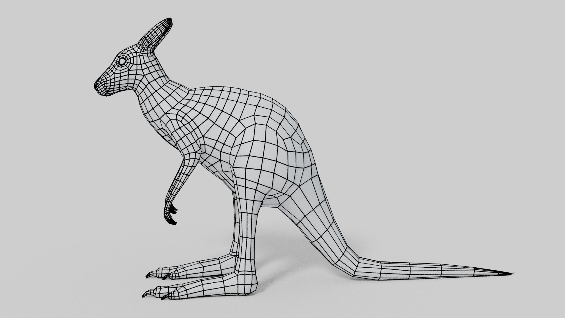 3D model 3D Kangaroo Model VR / AR / low-poly | CGTrader