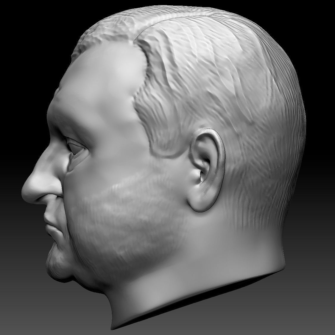 Serhiy Arbuzov 3D model 3D printable | CGTrader