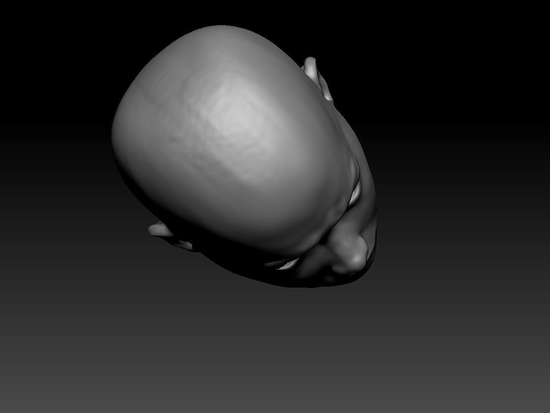 Boy High poly head sculpt 3D model | CGTrader