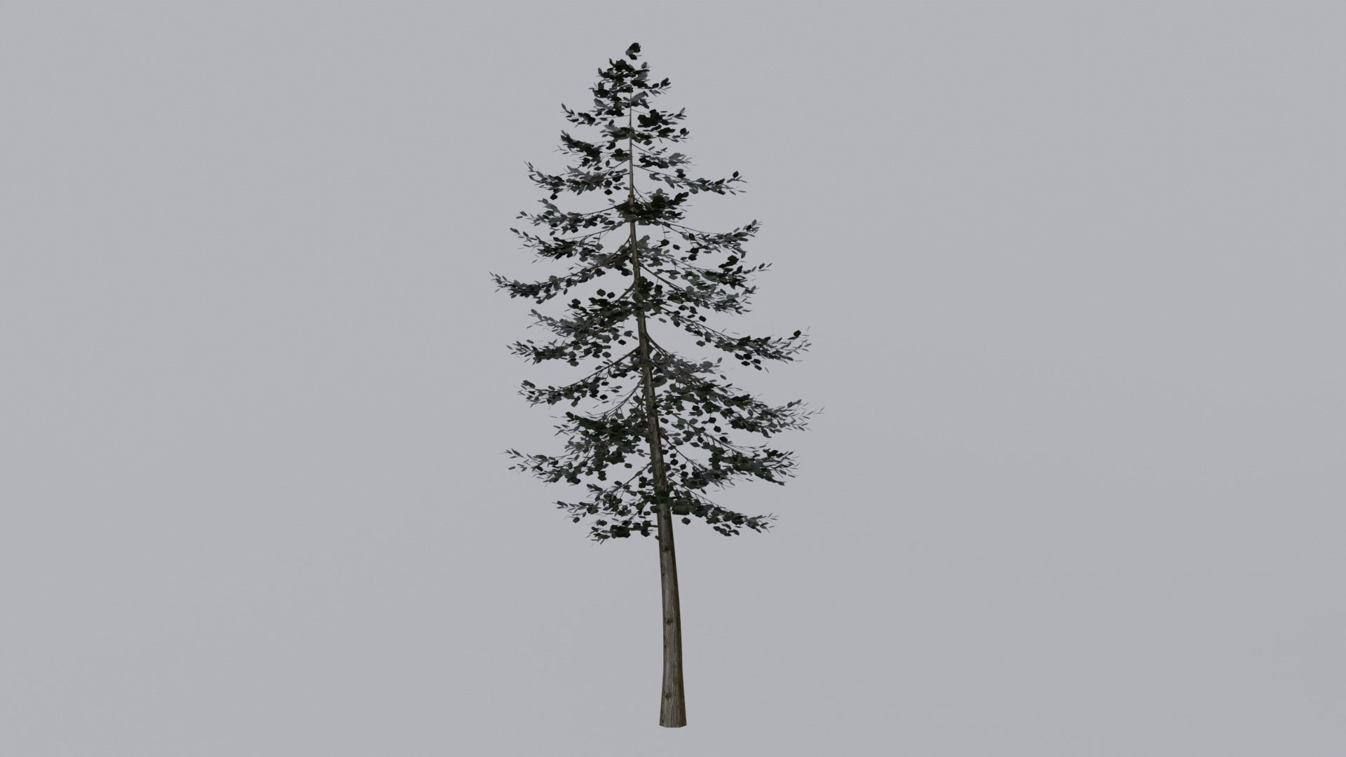 3D model Pine Trees Collection VR / AR / low-poly | CGTrader