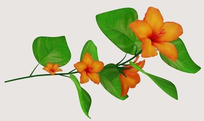 Flower Hibiscus 3D model | CGTrader