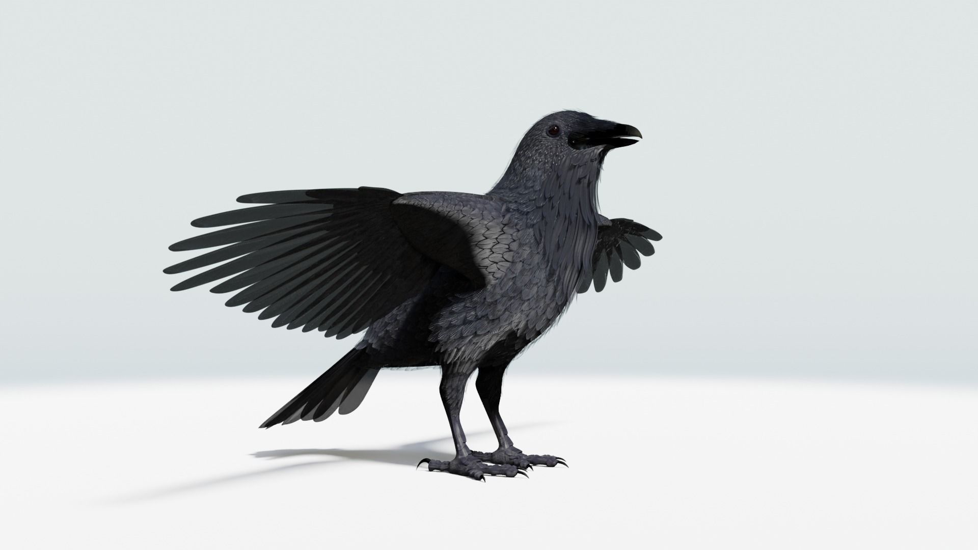3D model CROW - BLENDER VR / AR / low-poly | CGTrader