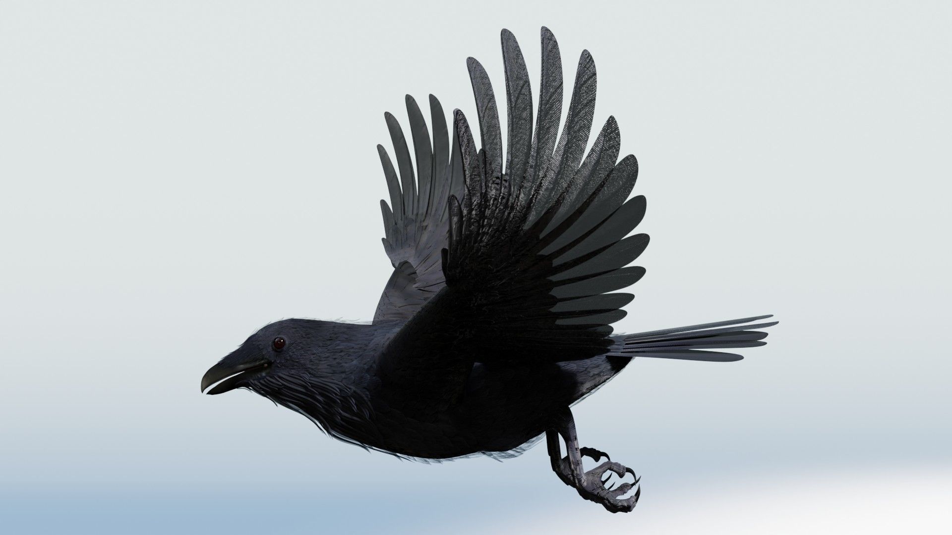 3D model CROW - BLENDER VR / AR / low-poly | CGTrader