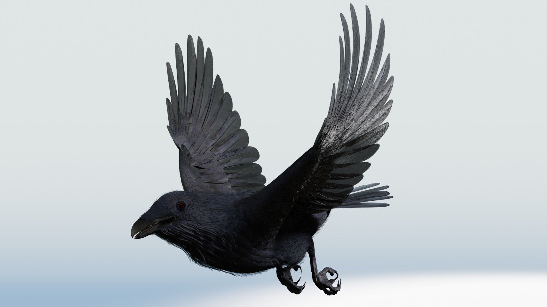 3D model CROW - BLENDER VR / AR / low-poly | CGTrader