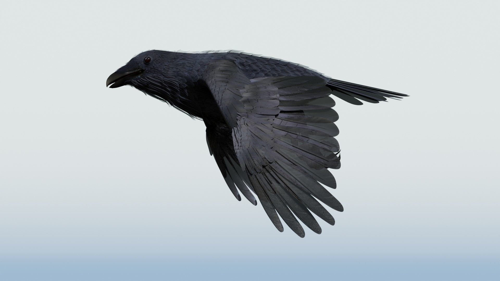 3D model CROW - BLENDER VR / AR / low-poly | CGTrader
