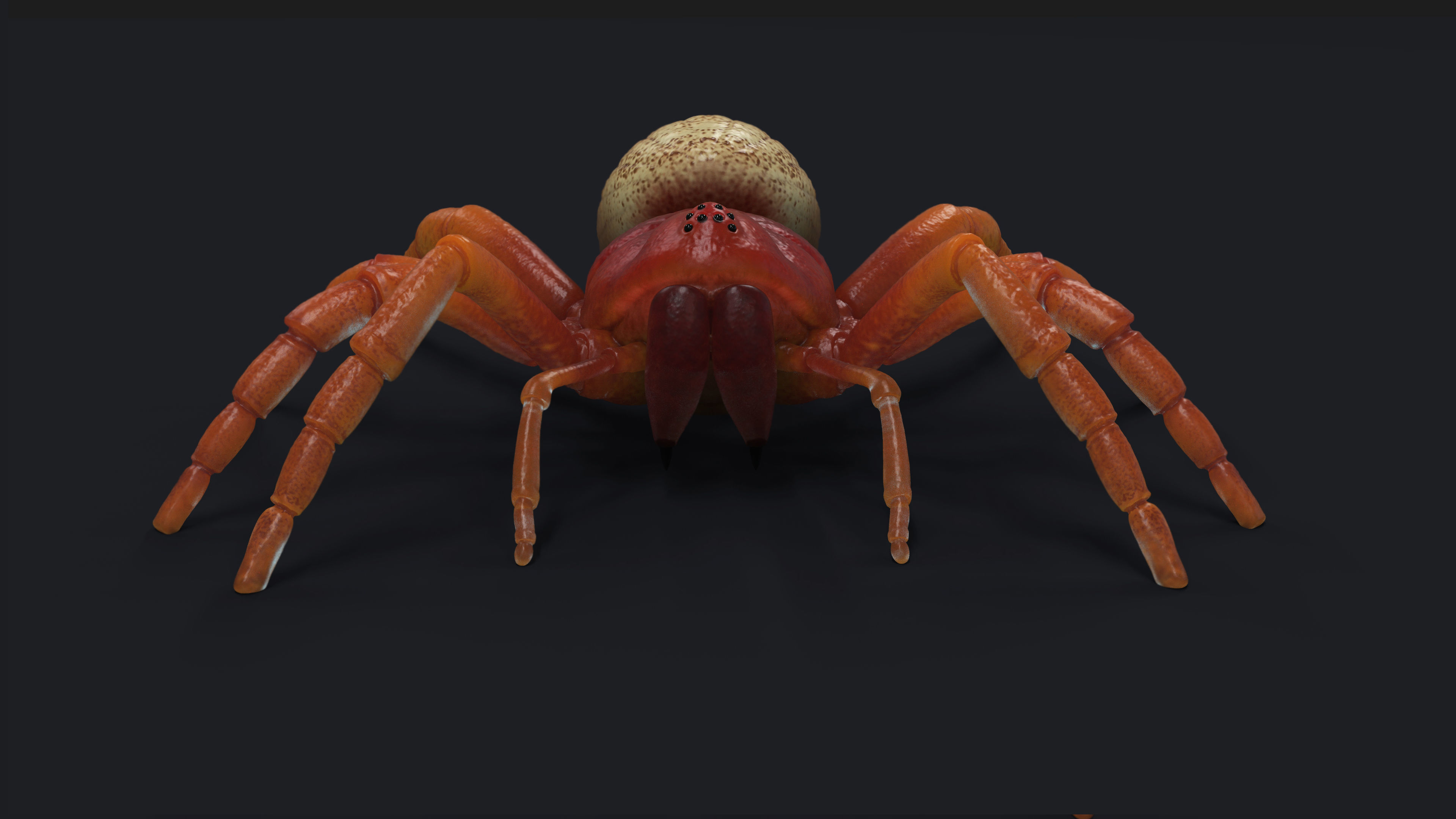 Spider stl 3D model 3D printable | CGTrader