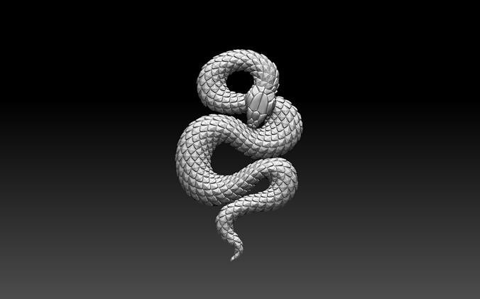 snake 3D model 3D printable | CGTrader