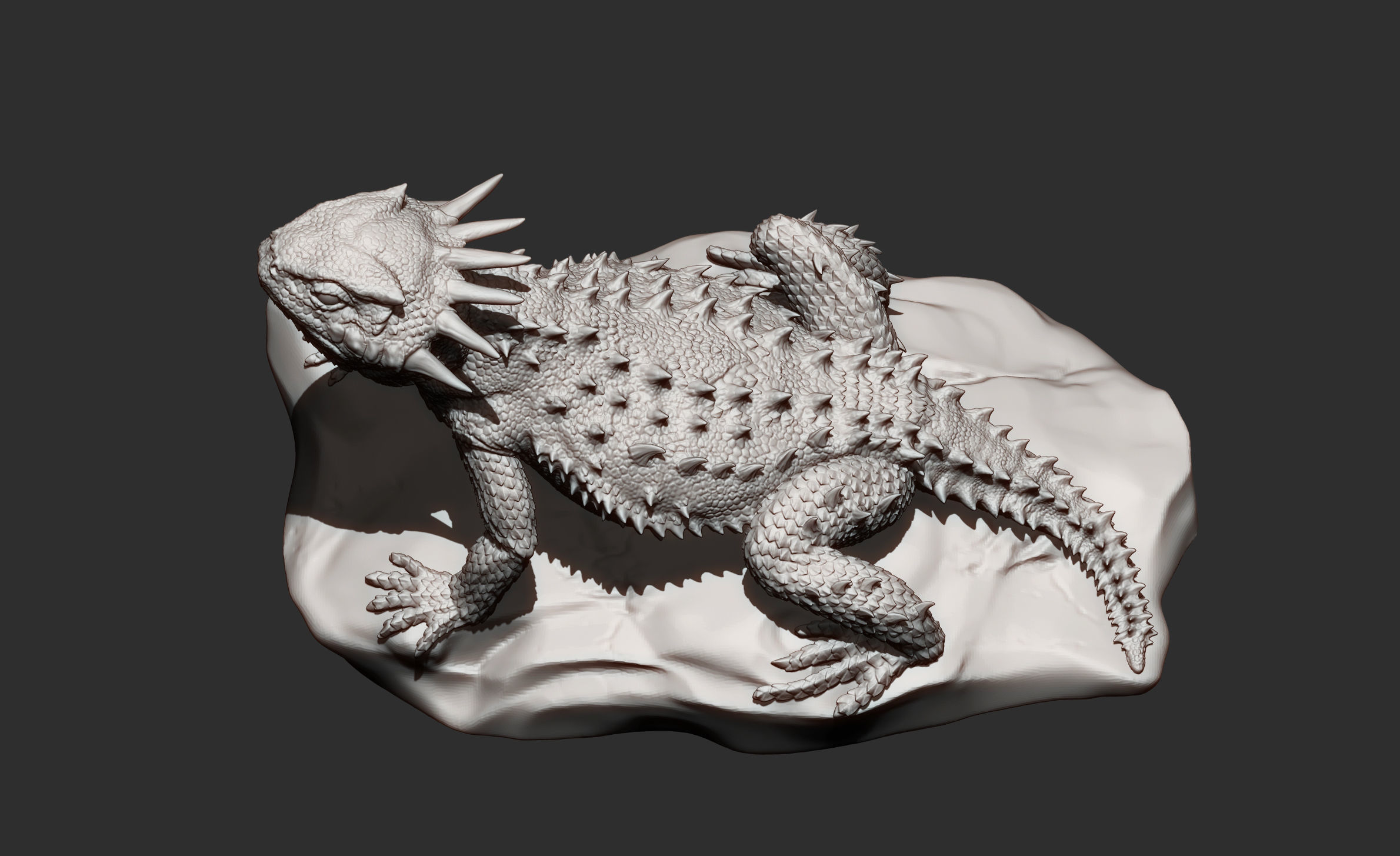 Flat-horned toad lizard Phrynosoma platyrhinos 3D model 3D printable ...