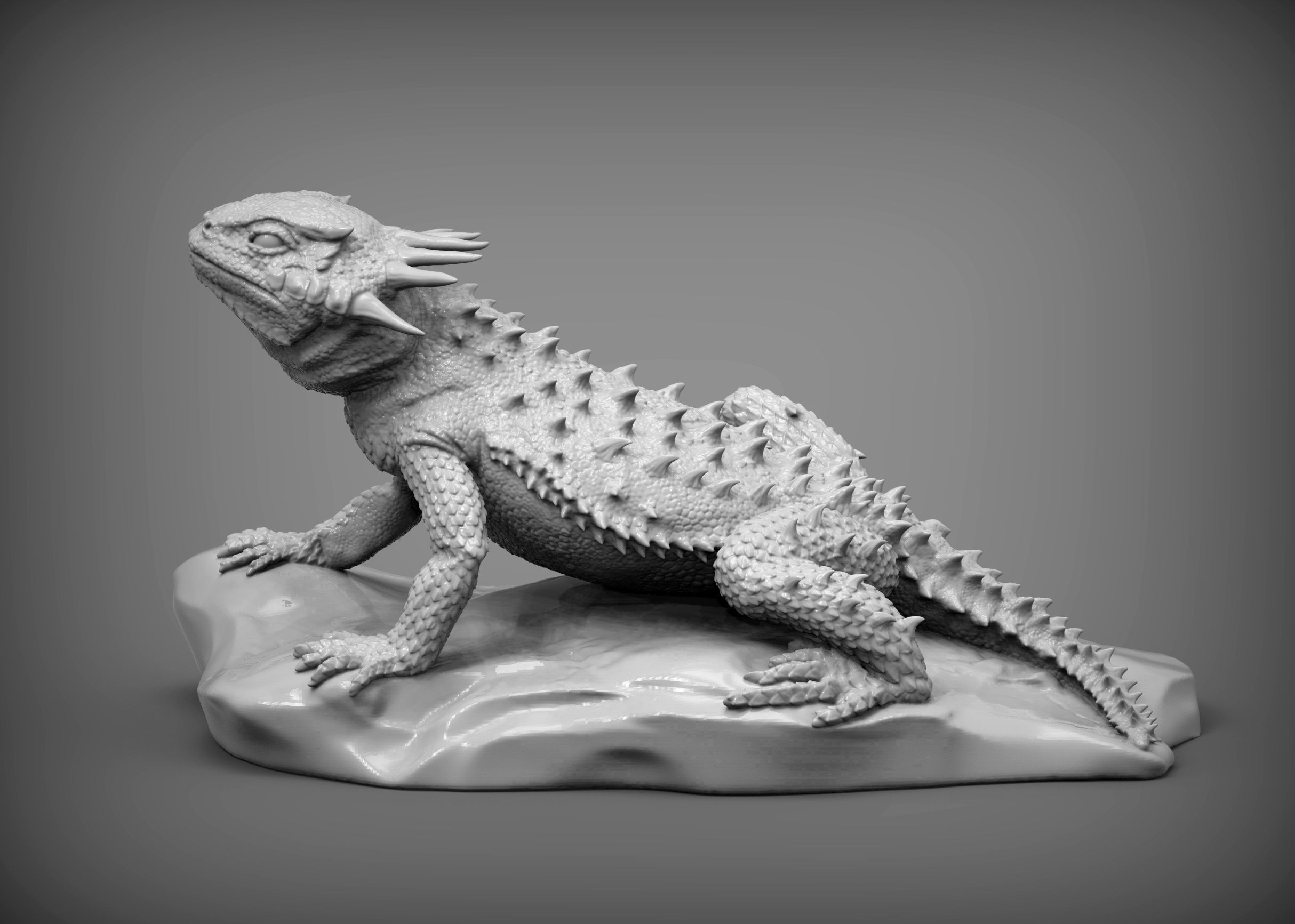 Flat-horned toad lizard Phrynosoma platyrhinos 3D model 3D printable ...